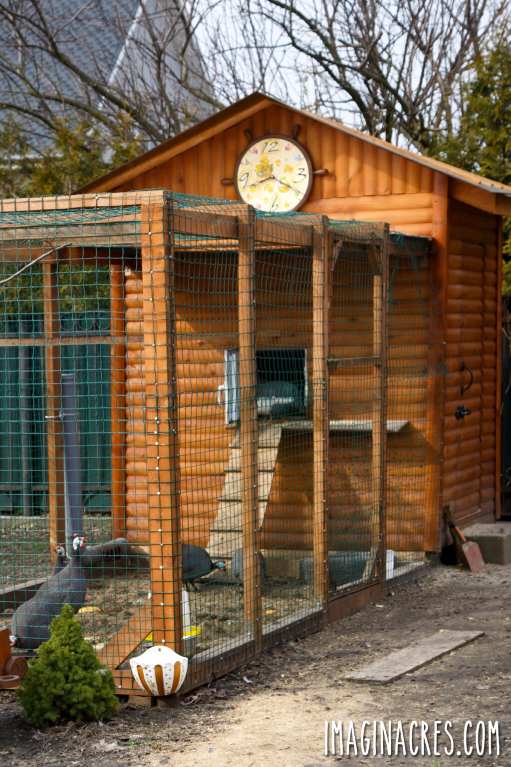 Chicken Coop Names: 75 Funny, Fancy & Clever Ideas for Your Hen House ...