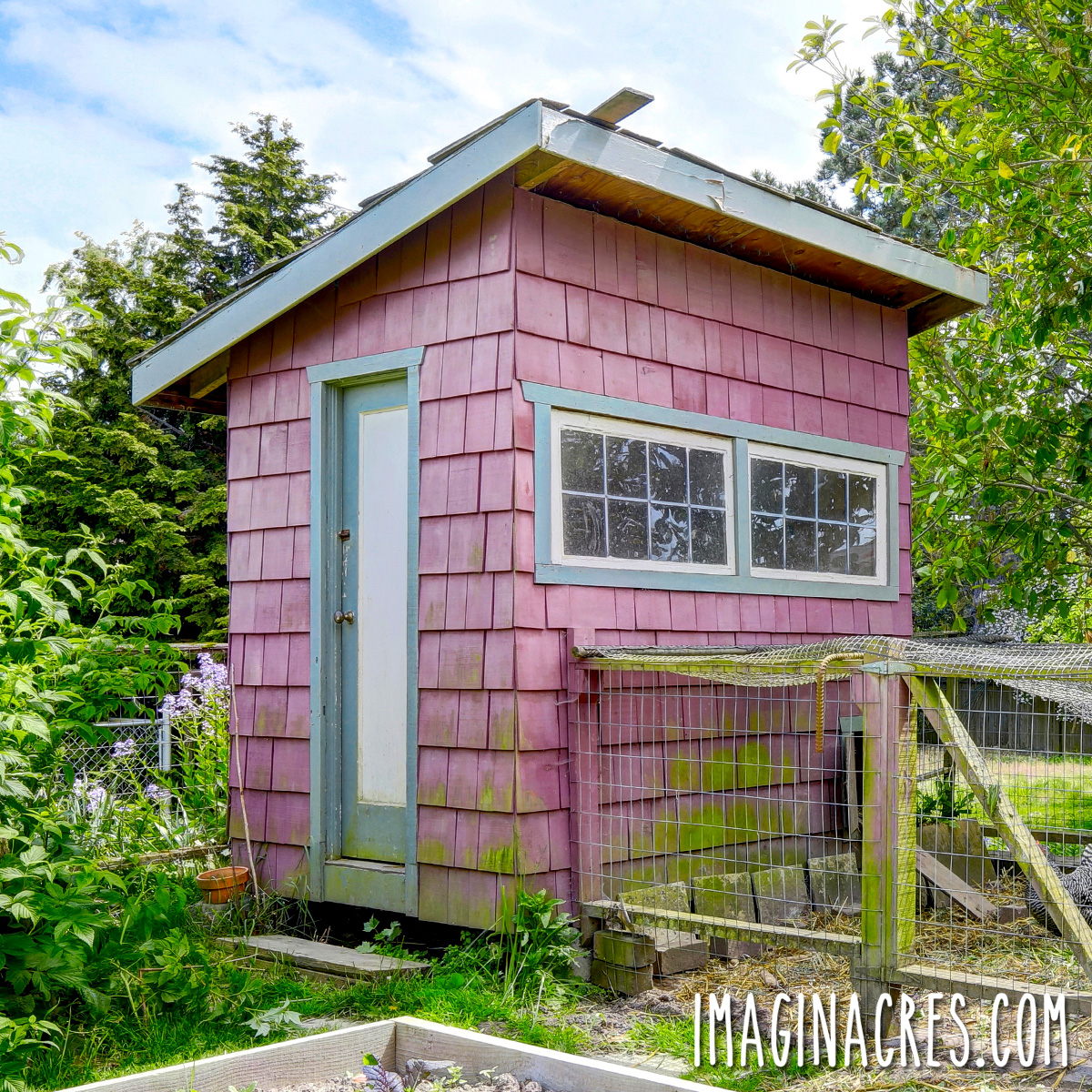Chicken Coop Names: 75 Funny, Fancy & Clever Ideas for Your Hen House ...