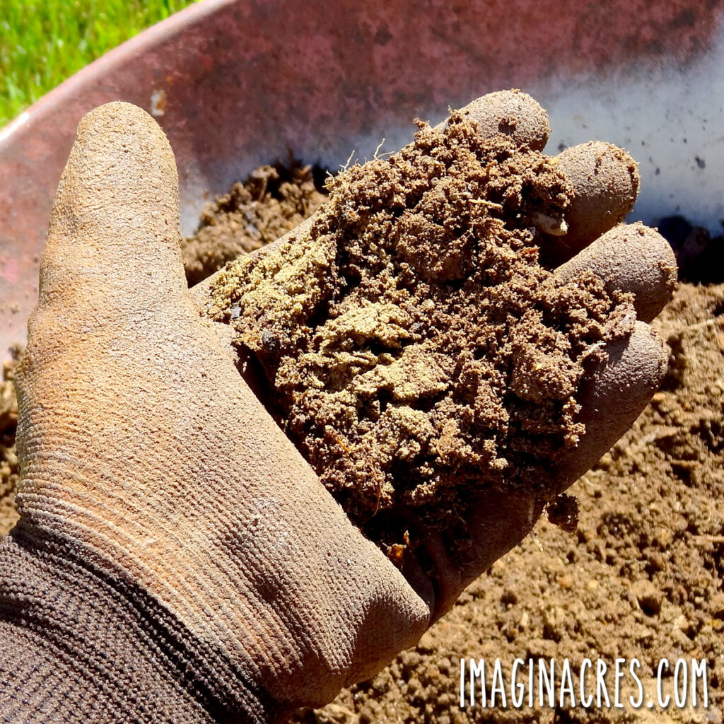 Chicken Manure Compost: How to Safely Turn Coop Waste into Garden ...