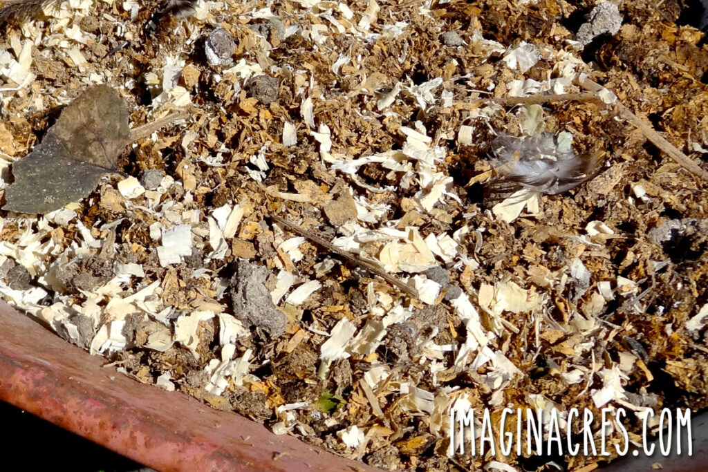 Chicken Manure Compost: How to Safely Turn Coop Waste into Garden ...